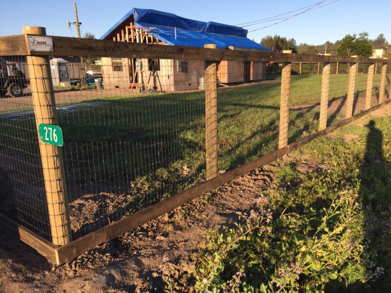 Non-climb Fence - SC Barns Buildings and Fence