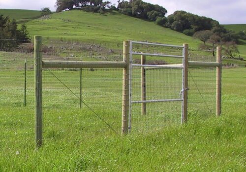 Non-climb Fence - SC Barns Buildings and Fence