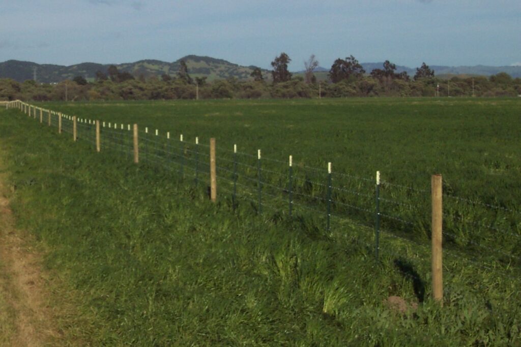 Field Fence - SC Barns Buildings and Fence