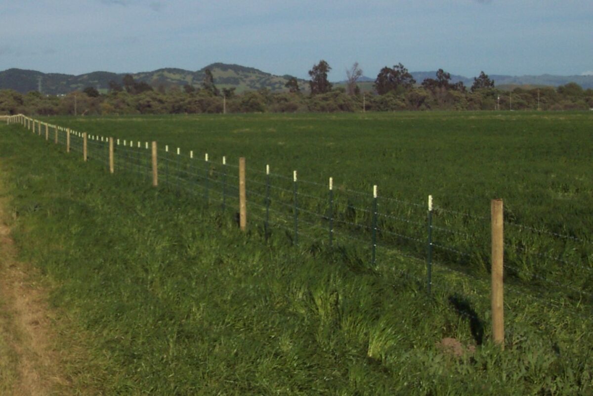 Field Fence - SC Barns Buildings and Fence
