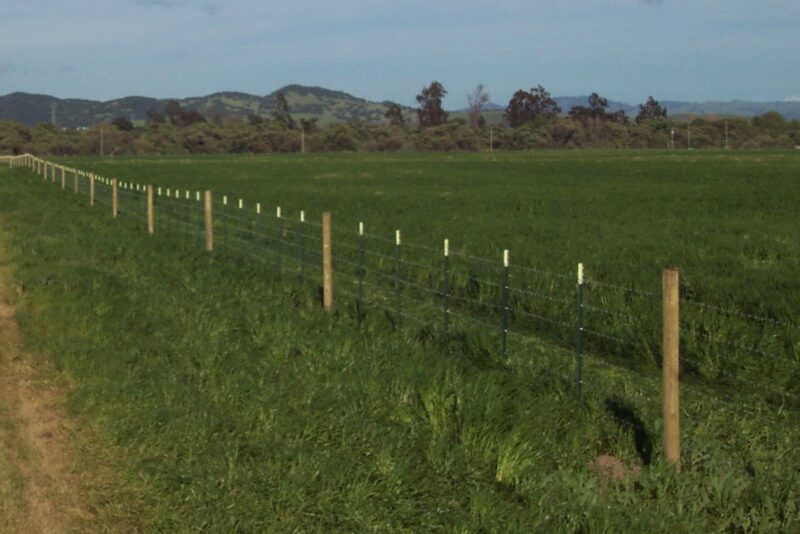 Field Fence - SC Barns Buildings and Fence