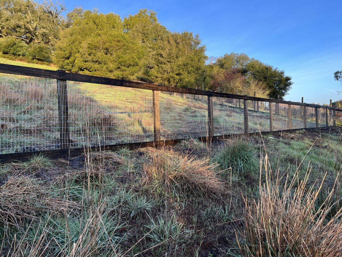 Non-climb Fence - SC Barns Buildings and Fence