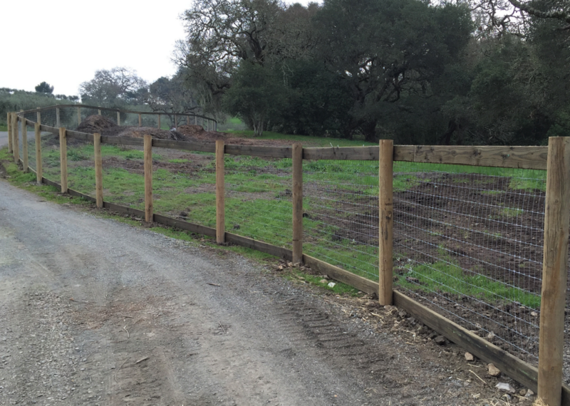 Non-climb Fence - SC Barns Buildings and Fence